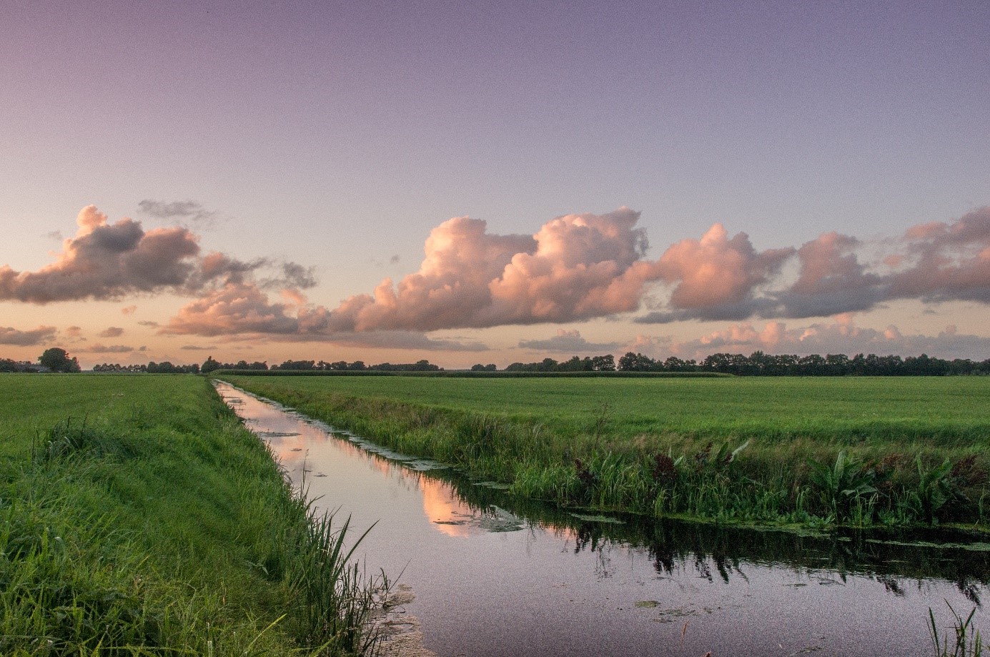 Soorten visuals - RO visuals | Beeldverhaal | 3D | artist impressions